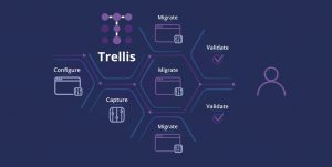 Trellis: Database Configuration - IntelliTect
