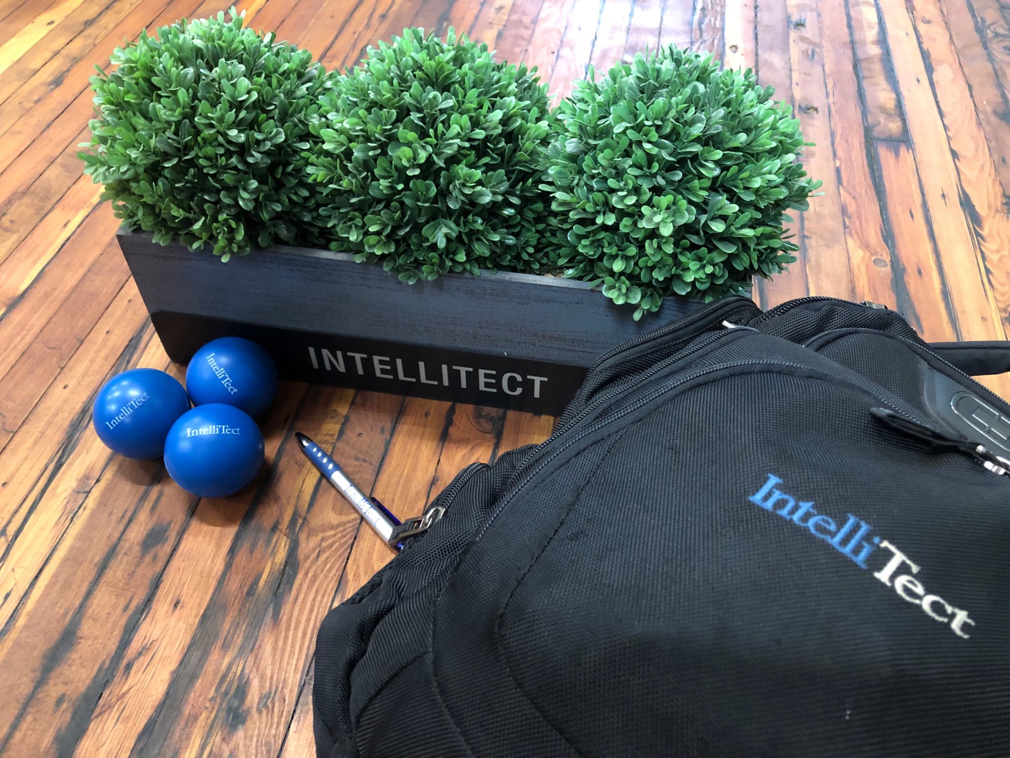 IntelliTect Logos - IntelliTect