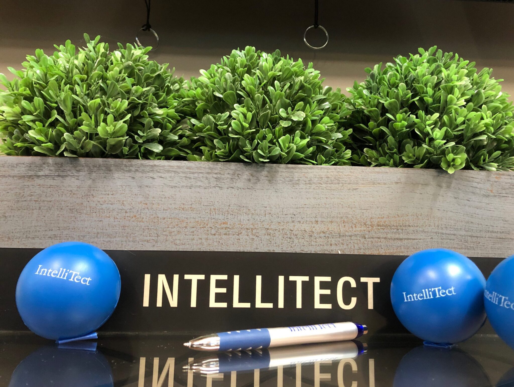 IntelliTect Logos - IntelliTect